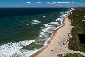 Hamptons Guide – Tim Davis