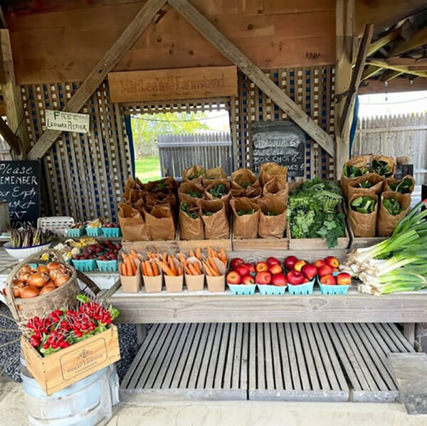 Seasonal Farm Stands - Tim Davis